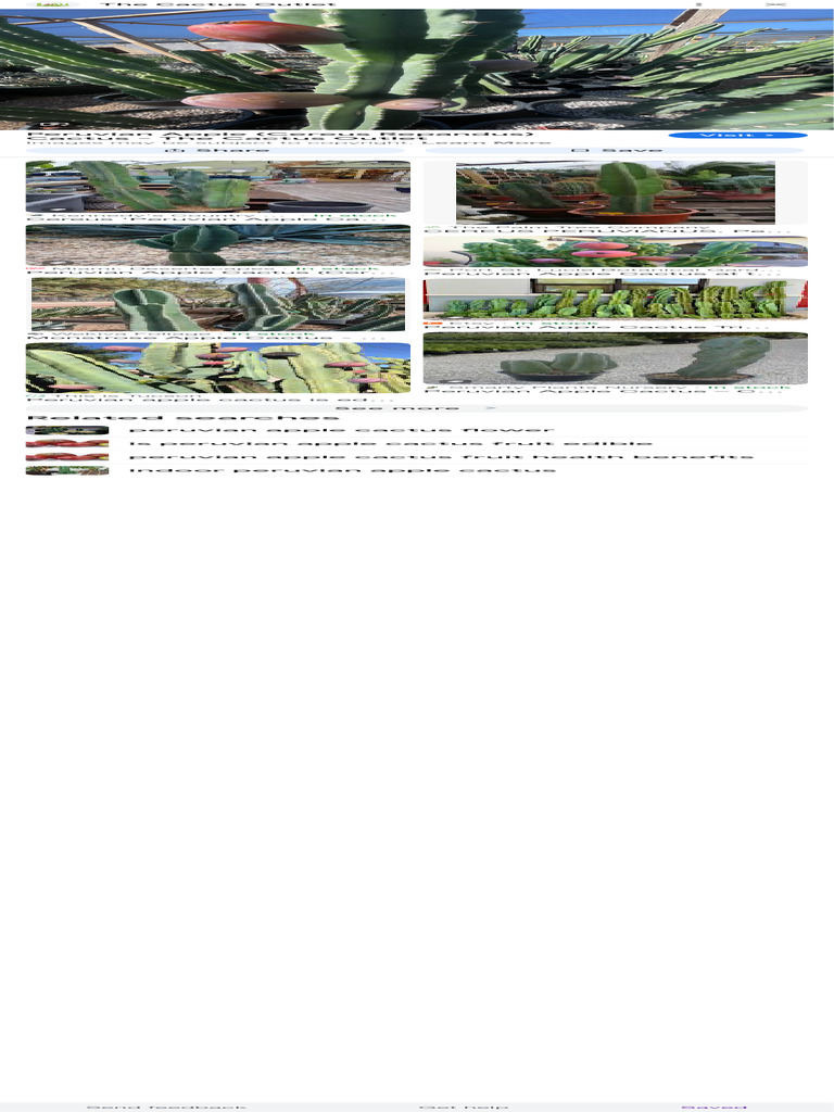 Pera - Peruana Cactus - Google Search | PDF | Home & Garden