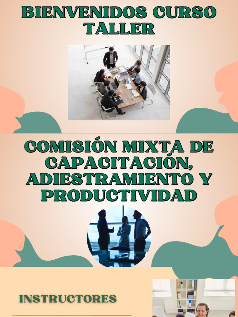 Capacitación en Comisiones Mixtas | PDF | Business
