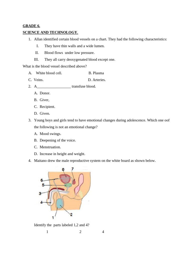 Grade 6 Science and Tech | PDF | Artery | Heart