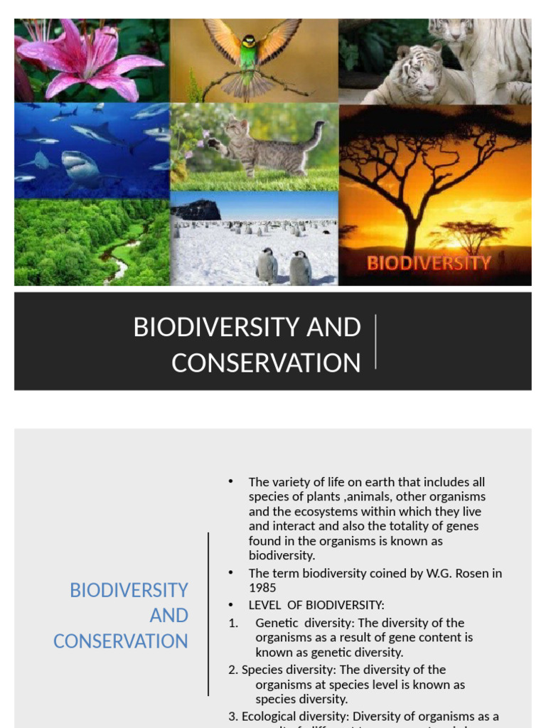 ENVS Unit4 AnanyaKunduDey 10apr2020 | PDF | Biodiversity | Conservation Biology