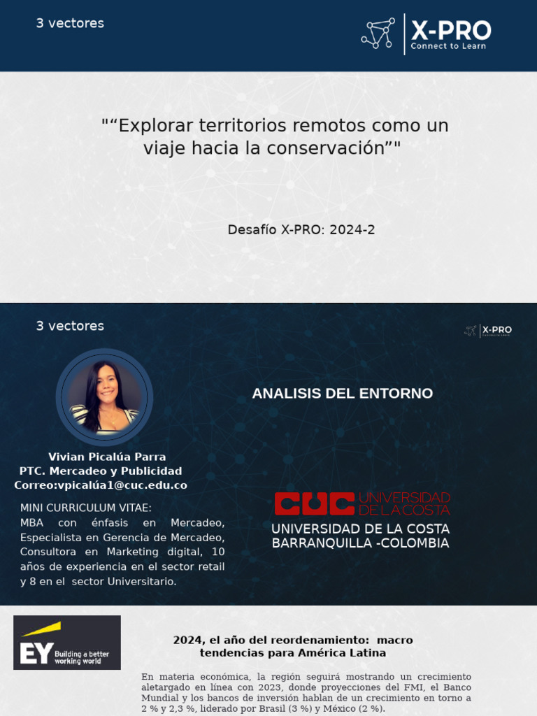 Analisis Del Entorno 3VECTORES | PDF | Análisis FODA | Marketing