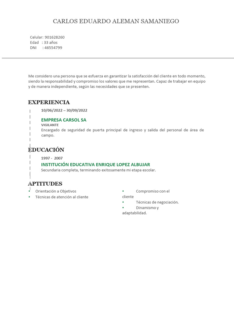 CV Carlos Aleman | PDF