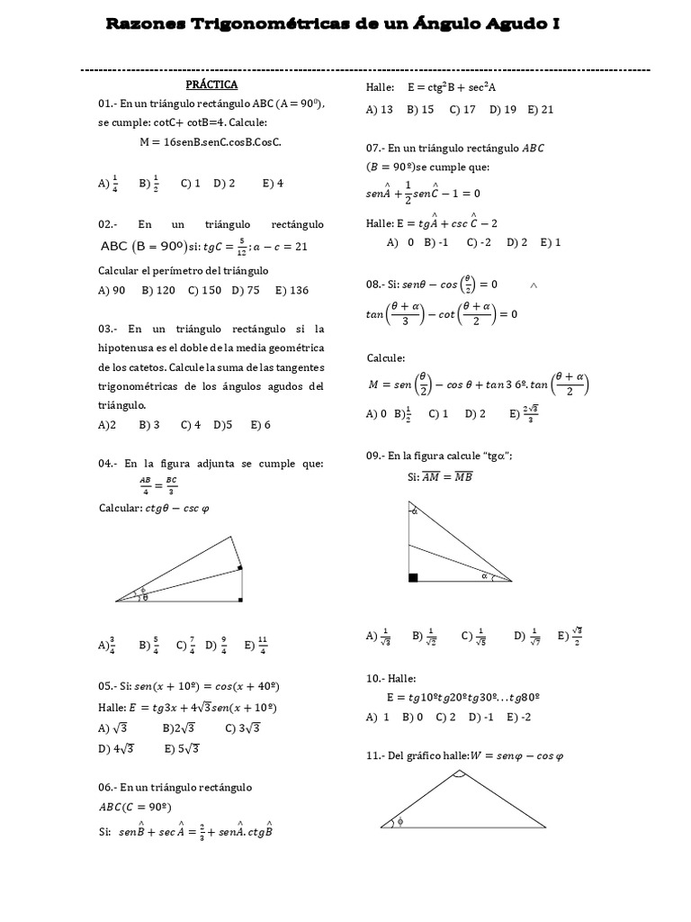 Raz Trig I 2024 | PDF | Triángulo | Formas geométricas