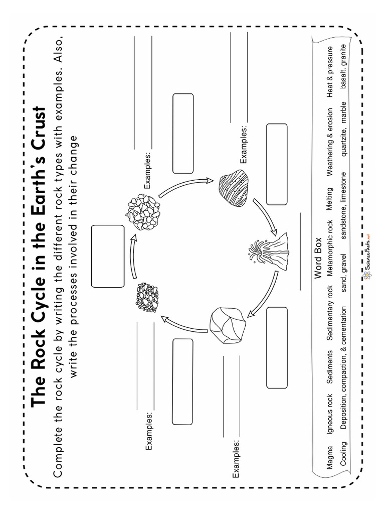 All About The Rock Cycle Worksheet Answer Key | PDF