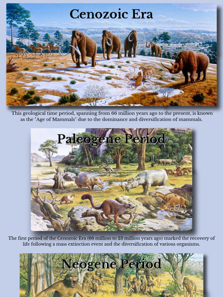 Cenozoic Era: Age of Mammals Overview | PDF | Social Science