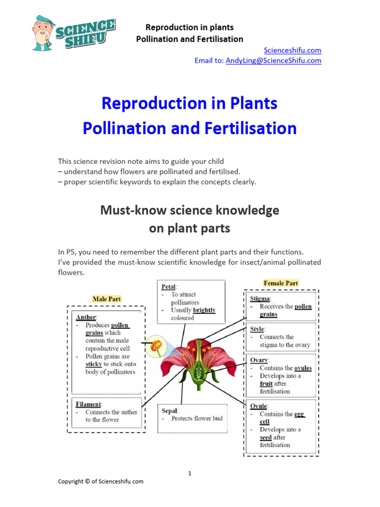 Reproduction in Plants - Pollination and Fertilisation | PDF | Flowers ...