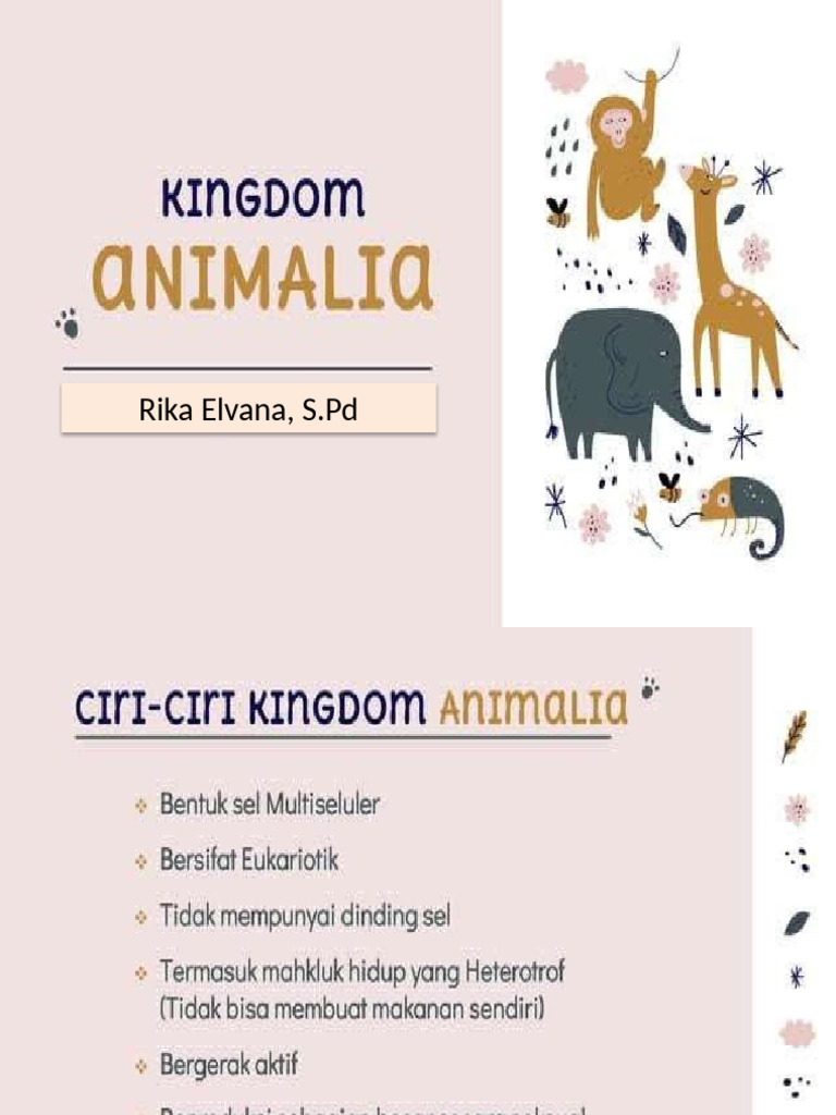 Animalia | PDF