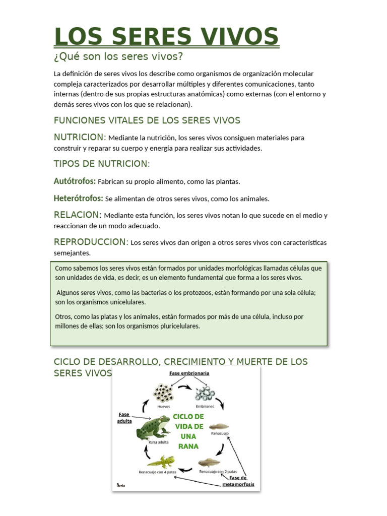 Los Seres Vivos Bioligia | PDF