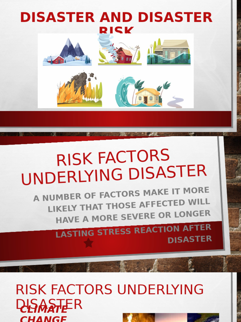 Key Factors Influencing Disaster Risk | PDF | Hazards | Risk