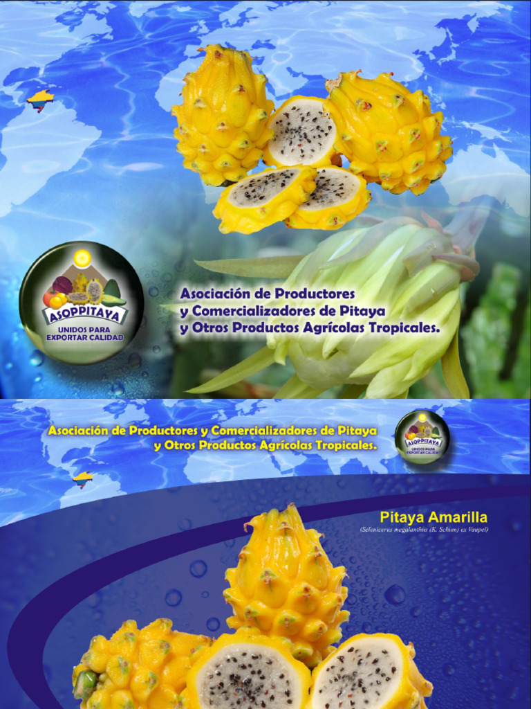 Biblioteca - 210 - Sandra Garcia Asoppitaya | PDF