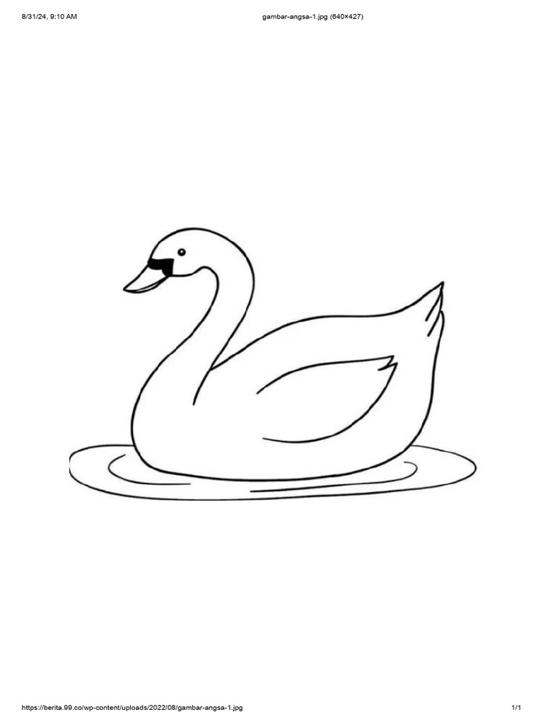 Gambar Angsa 1 | PDF