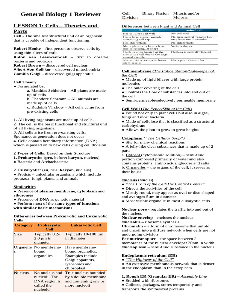 Biology 1: Cell Structure and Functions | PDF | Meiosis | Epithelium