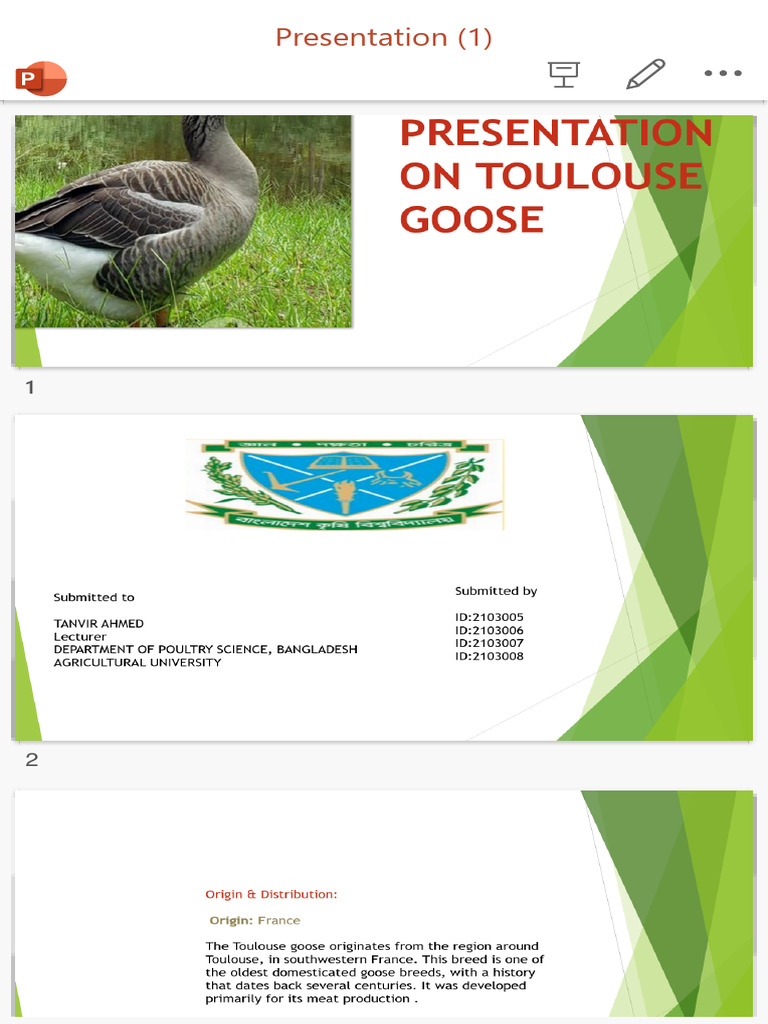 Presentation (1) .PPTX - Microsoft PowerPoint Online | PDF