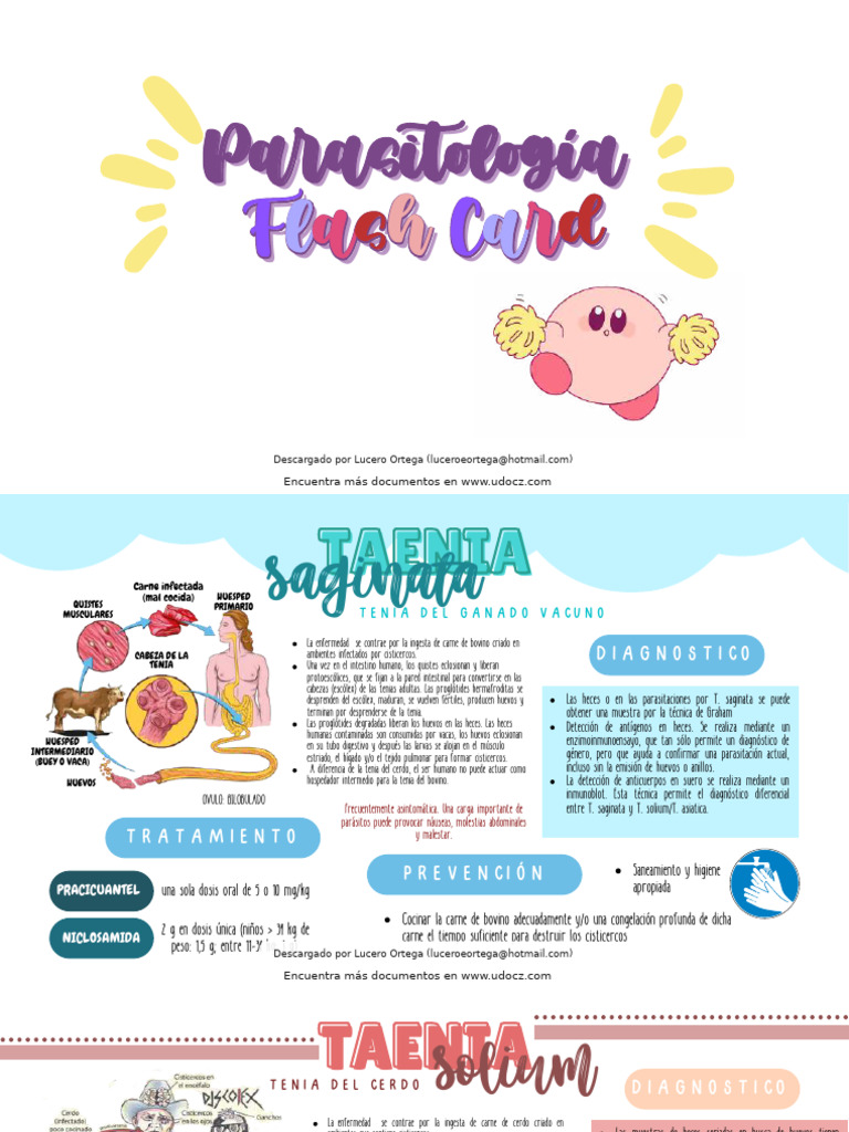 Flash Card 405586 Downloadable 5453372 - Removed | PDF | Enfermedades y trastornos | Medicina ...