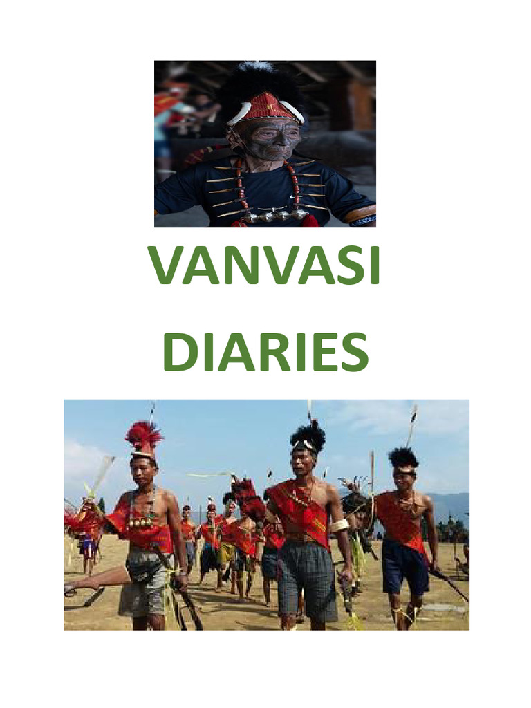 Vanvasi Dairies | PDF