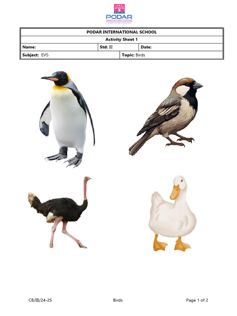 Activity Sheet 1 - CB - III - EVS - Birds | PDF