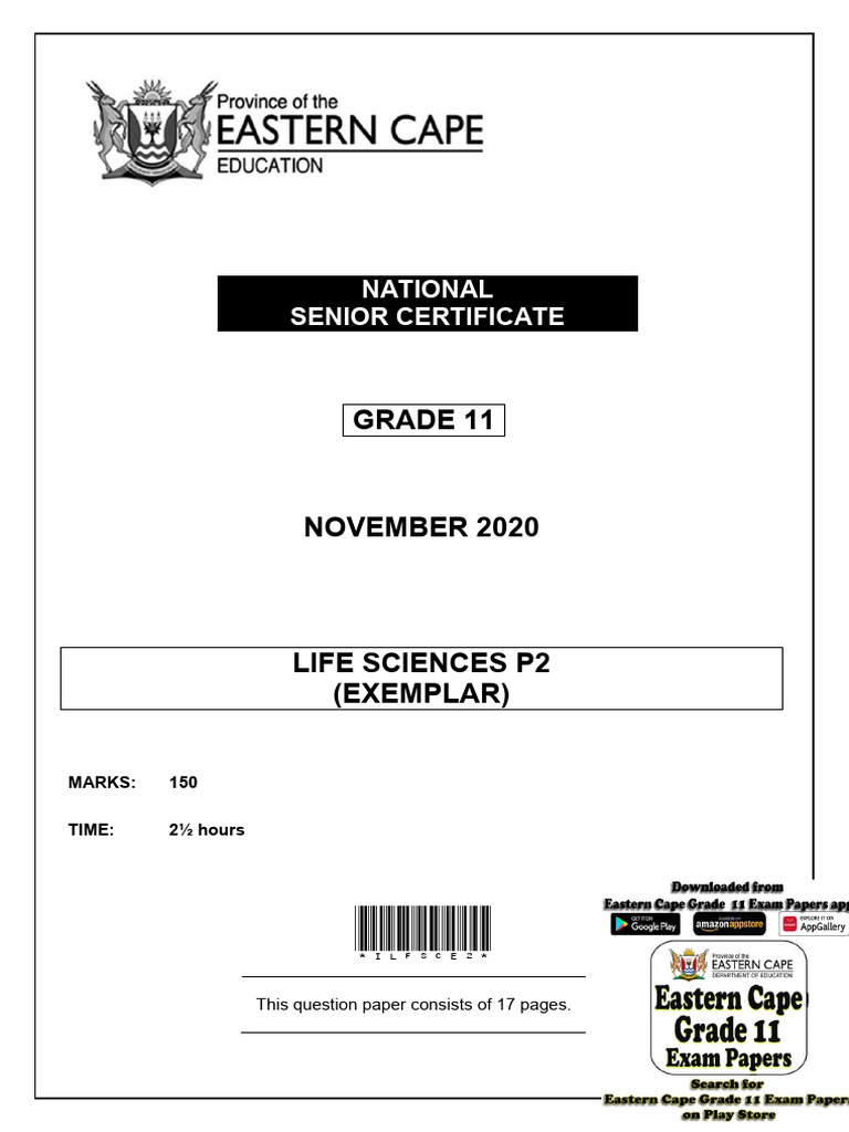 Life Sciences P2 QP Memo GR11 Nov2020eng D | PDF | Lion | Spore