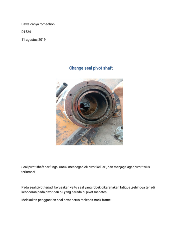 Seal Pivot Shaft | PDF