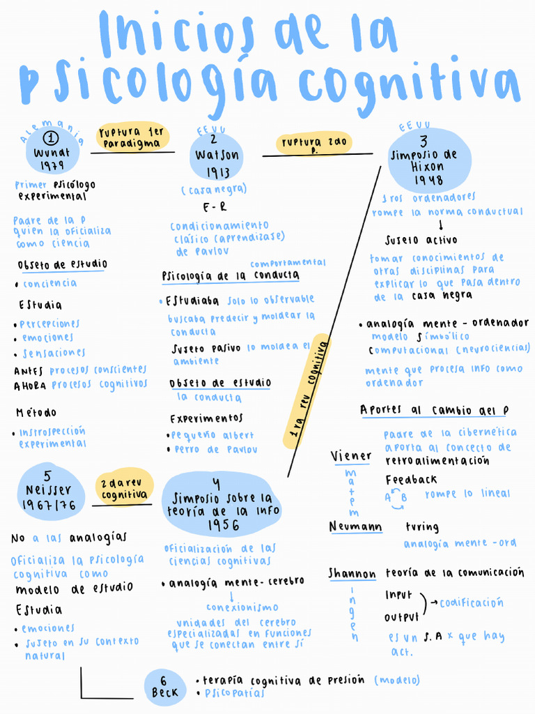 Resumen Psicología Cognitiva Final | PDF