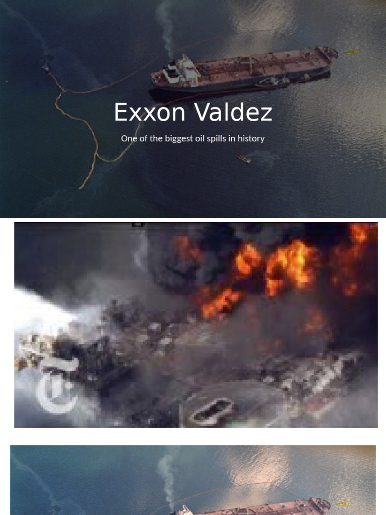 Impact of Exxon Valdez Oil Spill | PDF | Technology & Engineering