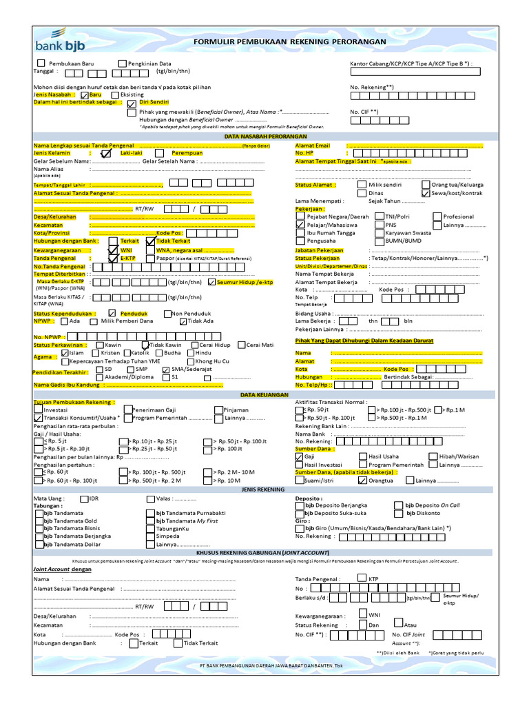 Contoh Pengisian Form Perorangan | PDF