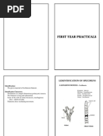 Botany Lab Manual 2025 Edition | PDF | Mitosis | Plant Stem