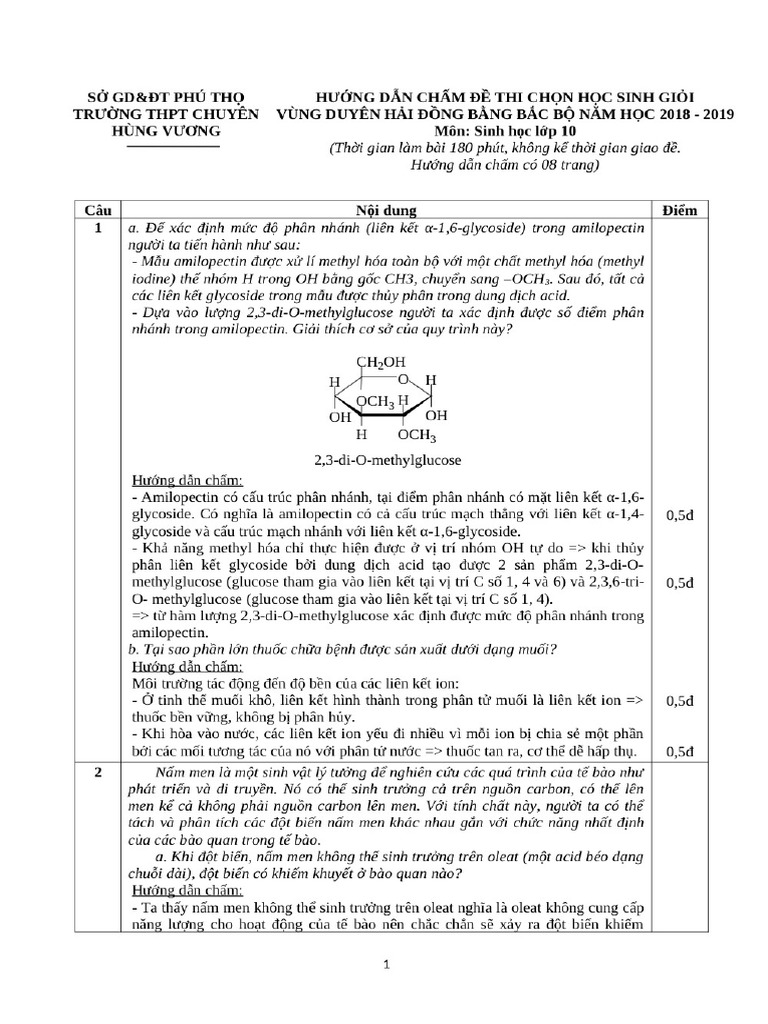 DHBB Chuyên Hùng Vương (18-19) | PDF