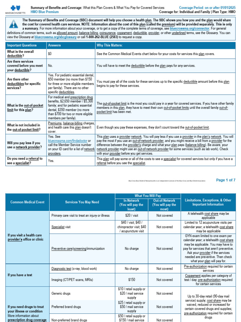 HMO Blue Premium Coverage Summary 2025 | PDF | Emergency Department ...