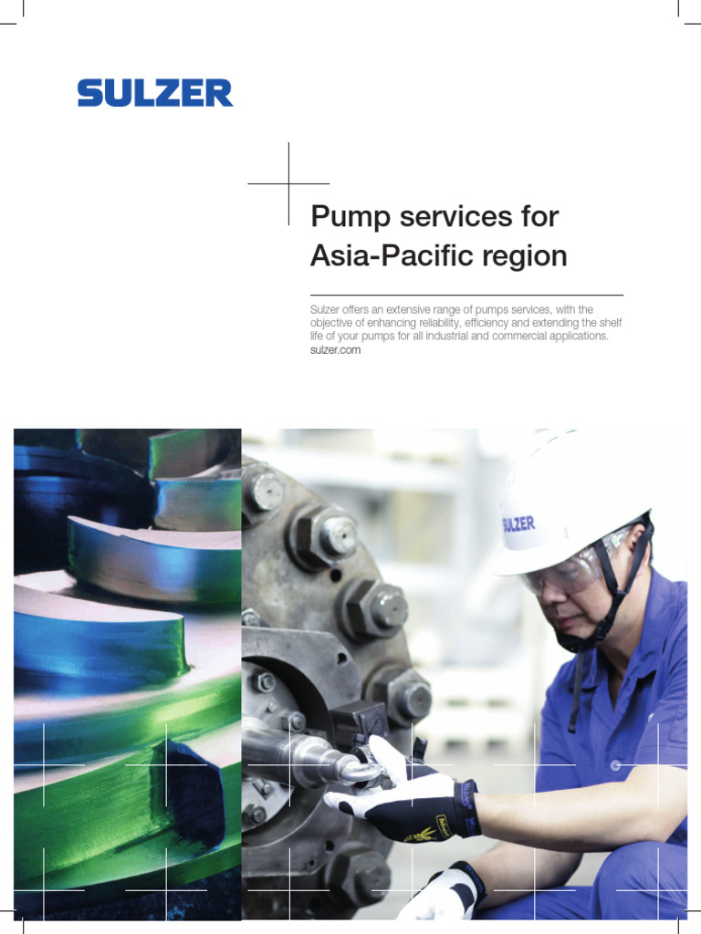 Pump Services For Apac E10785 en Print | PDF | Pump | Reliability Engineering