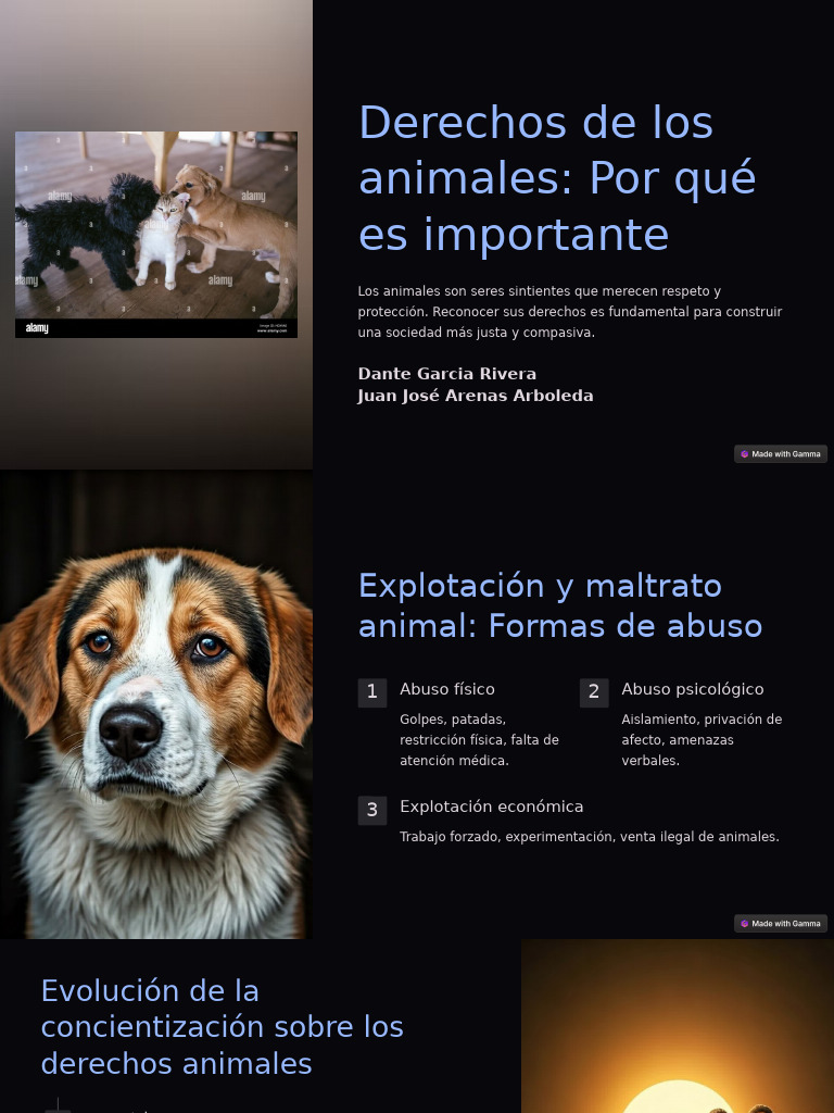 Derechos de Los Animales | PDF | Abuso infantil | Bienestar de los animales