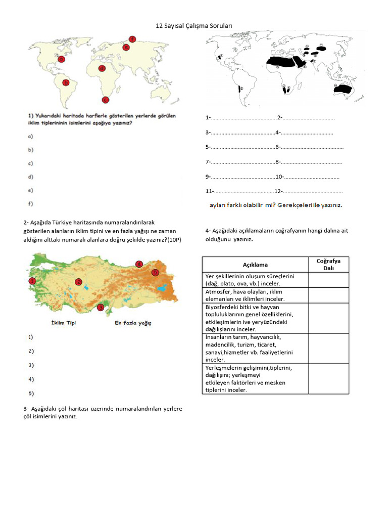 12 Sayisal Çalişma Sorulari | PDF