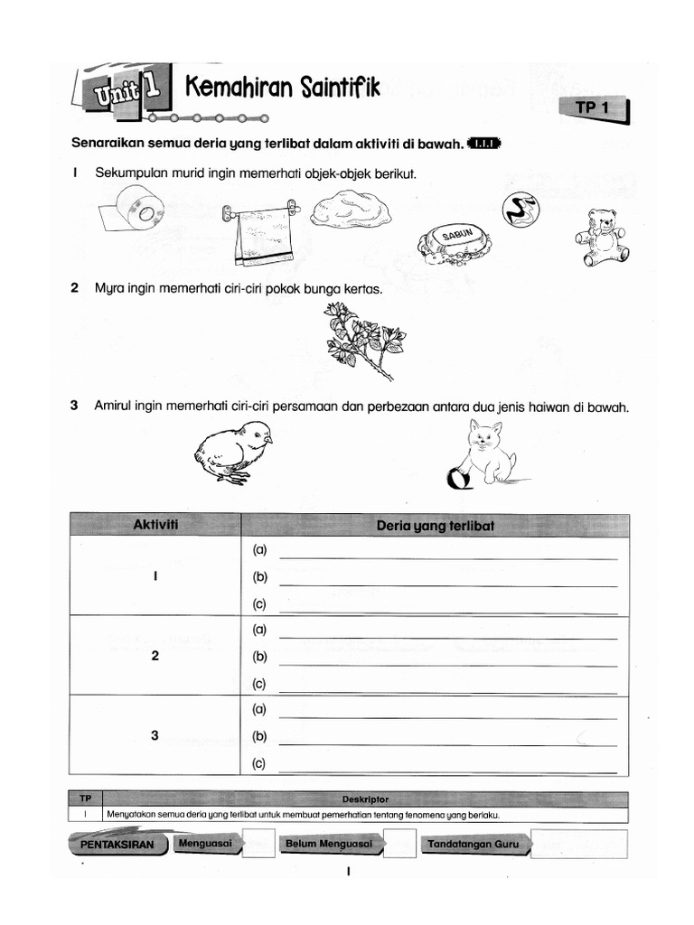 KPS - Memerhati, Mengelas, Mengukur, Inferens, Meramal | PDF