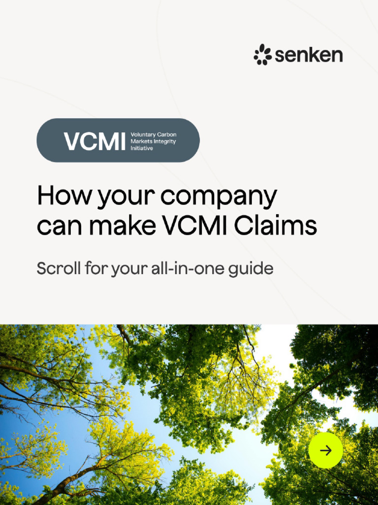 VCMI标签流程 | PDF