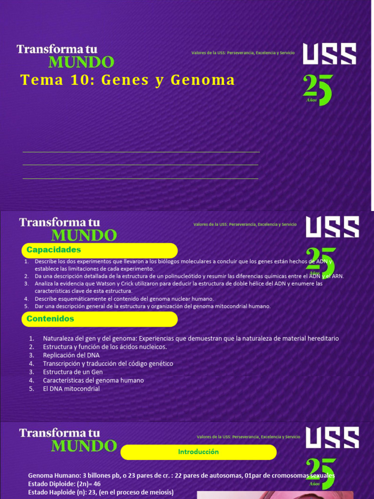 A 10 Genes – LES 10 MEILLEURES choses à faire à Gênes – UAJET