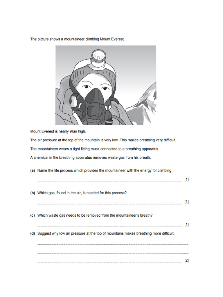 Pressure and Moments Worksheet | PDF