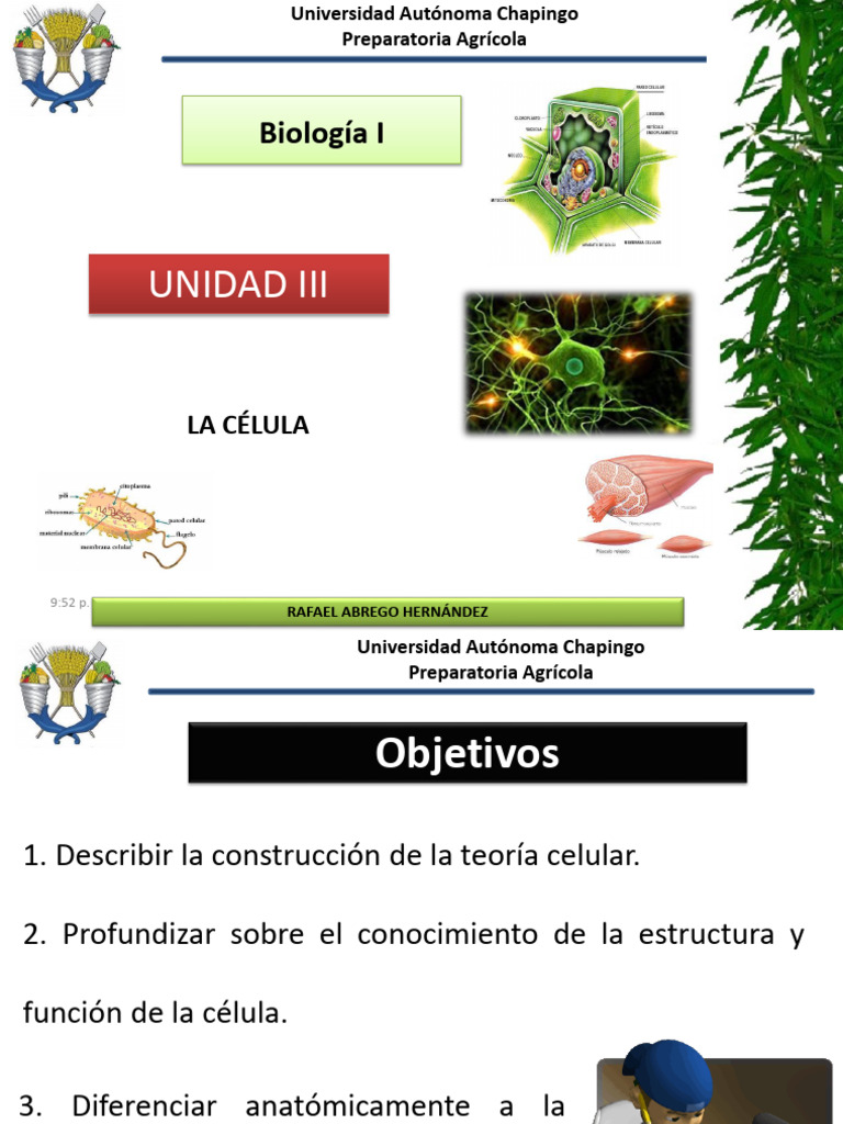 3.1 Célula-1 | PDF | Nucleo celular | Citoplasma
