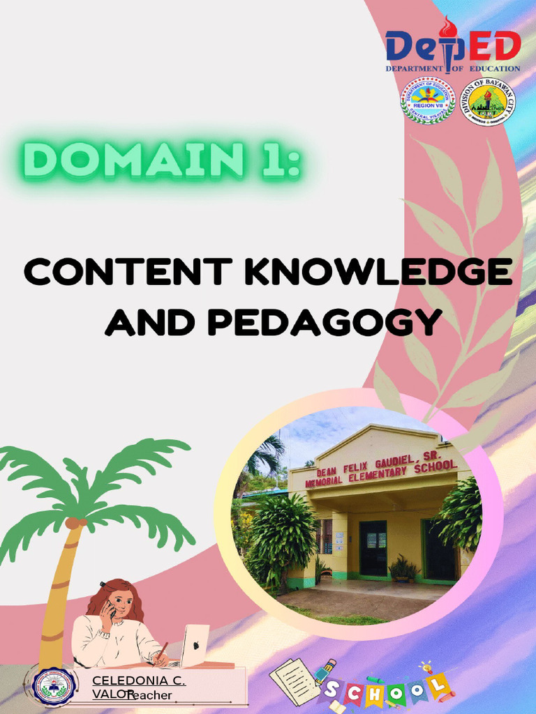 Teacher Professional Development Overview | PDF | Educational ...