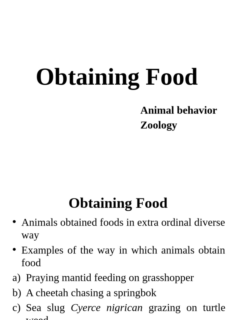 Obtaining Food | PDF | Foraging | Predation