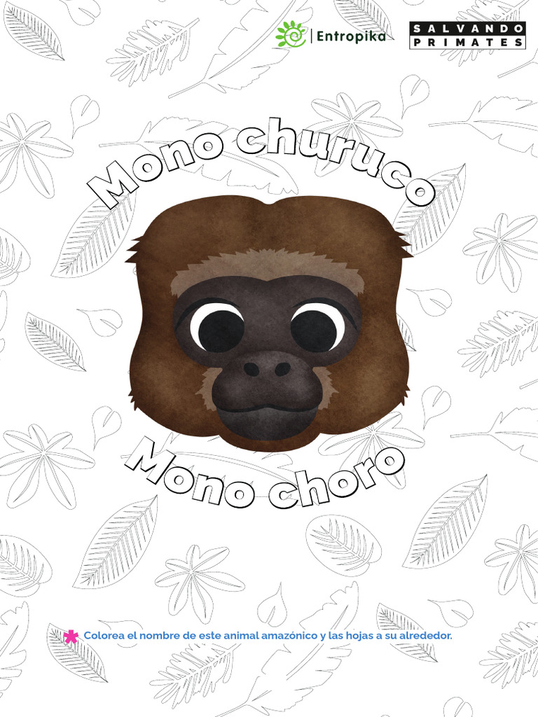 Mono Churuco: Hábitat y Conservación | PDF | Mono | Órdenes de mamíferos