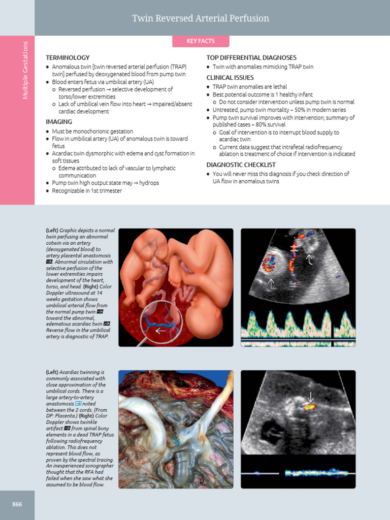 Diagnostic Imaging Obstetrics 3e | PDF | Artery | Heart