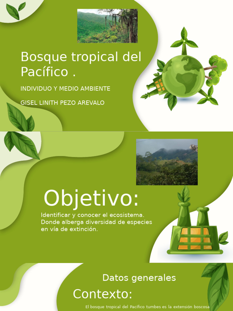 Avance de Portafolio 1 - Gisel Linith Pezo Arevalo | PDF | Zona ...
