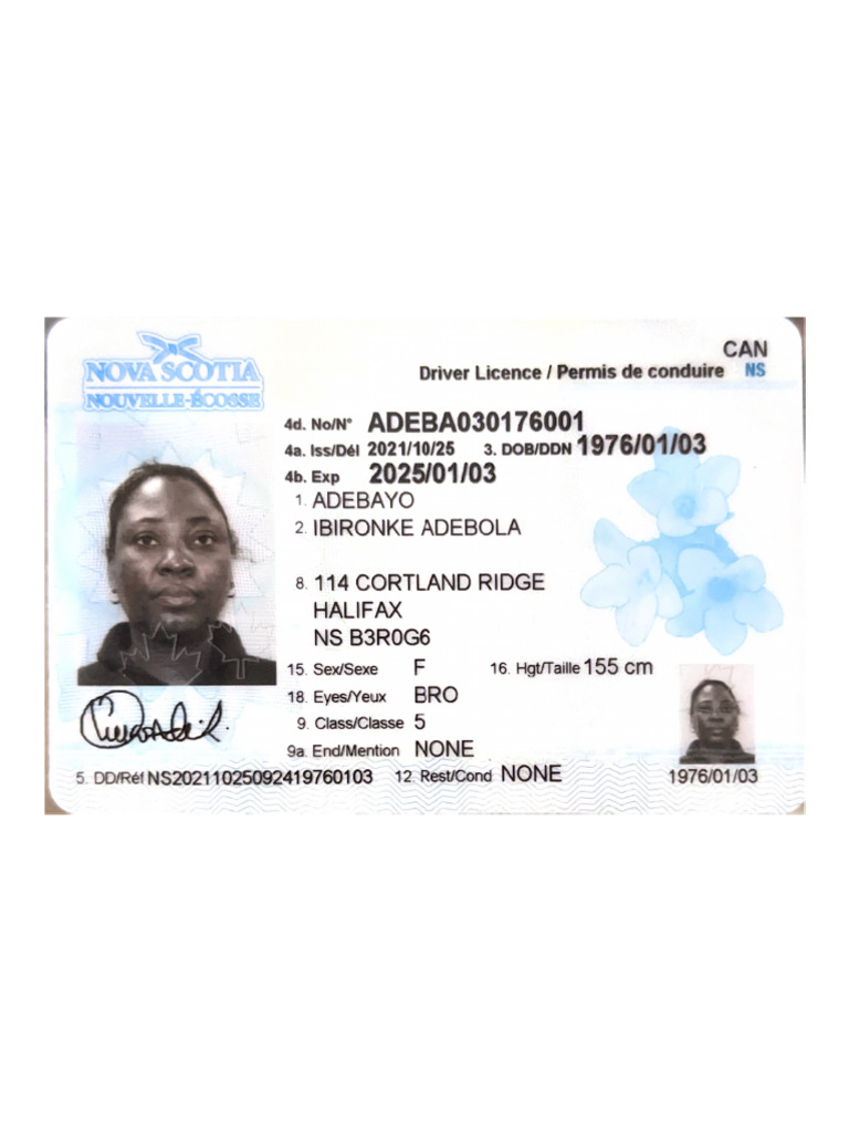 Driver Licence Permis de Conduire | PDF