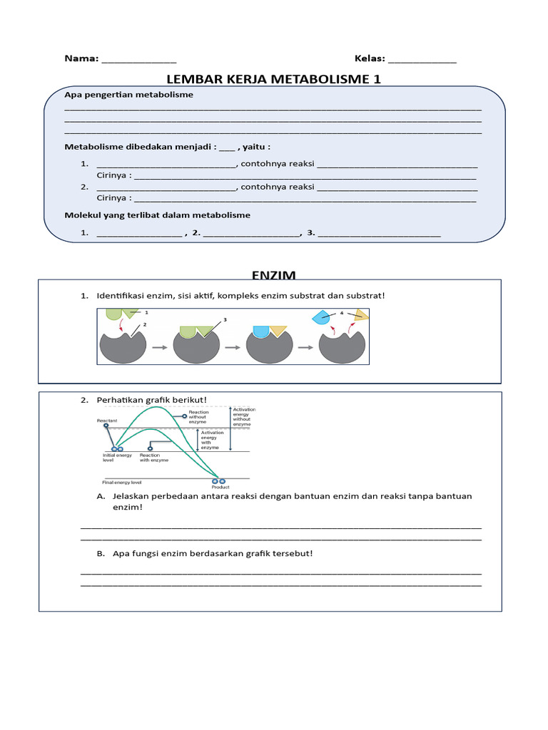 LKPD Enzim | PDF