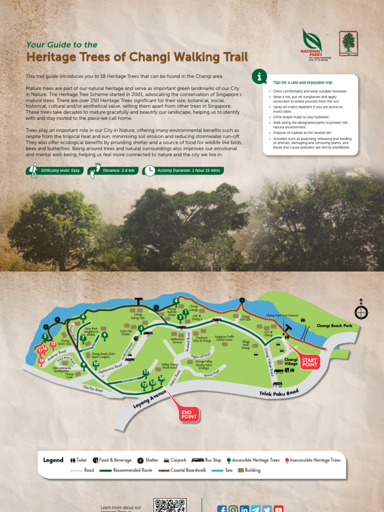 NPARKS-DIY Trail-Changi-FA | PDF | Trees | Ficus