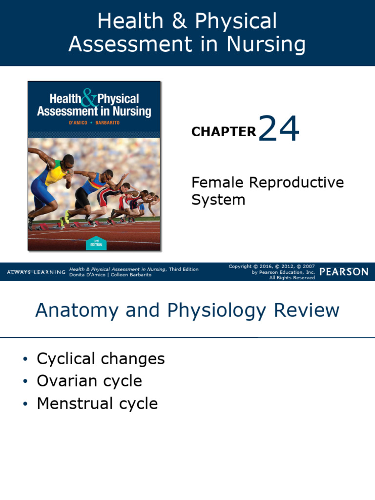 Assessment of The Female Reproductive System | PDF | Uterus | Labia