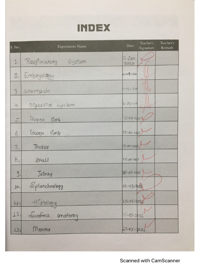Anatomy Journal 1 | PDF