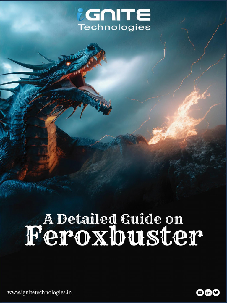 LI - A Detailed Guide On Feroxbuster PDF | PDF | Http Cookie | Computing