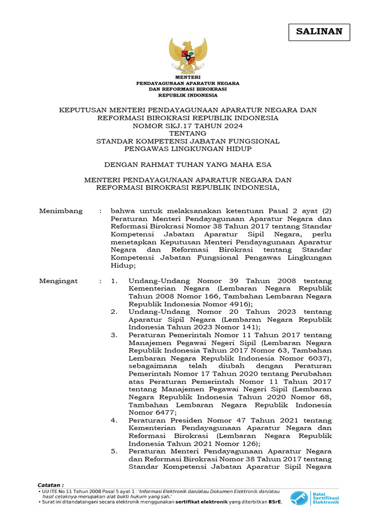 Kepmenpan RB No. 17 TH 2024 Standar Kompetensi PPLH | PDF