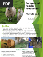 Goat Rearing Project Proposal | PDF | Goat | Agriculture