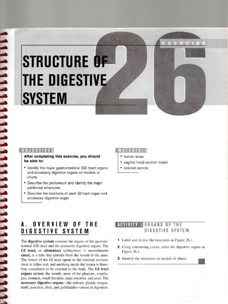 Lab Act No. 7 Digestive System Review Sheet | PDF